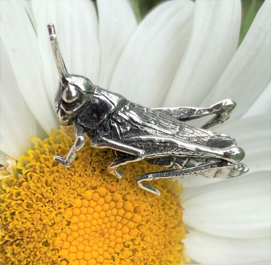 Common Green Grasshopper Ornament - Emma Keating Jewellery